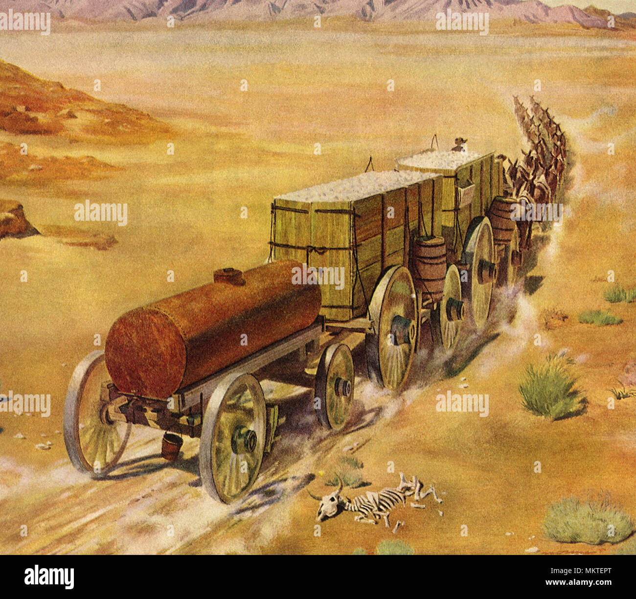 Mules pulling Supplies across Desert Stock Photo - Alamy