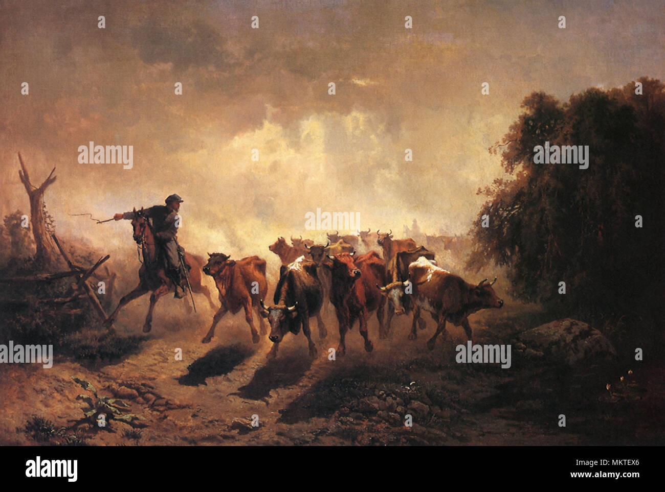 Cattle drover hi-res stock photography and images - Alamy