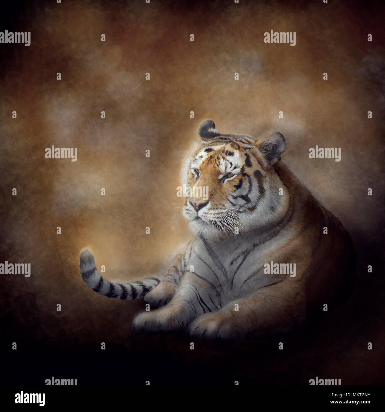 Bengal Tiger resting. Digital painting Stock Photo - Alamy