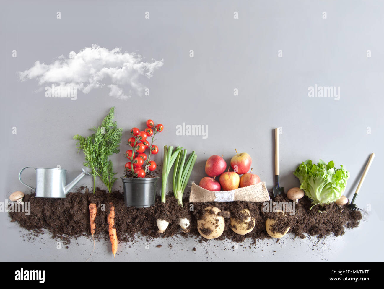 Fruits and vegetables growing in compost including carrots, mushrooms ...