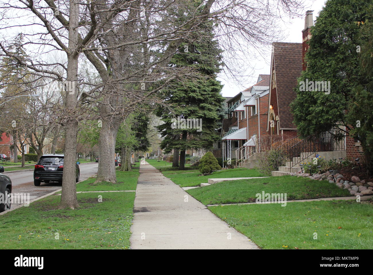 Streetscape of a regular Chicago side street with greenery and homes ...