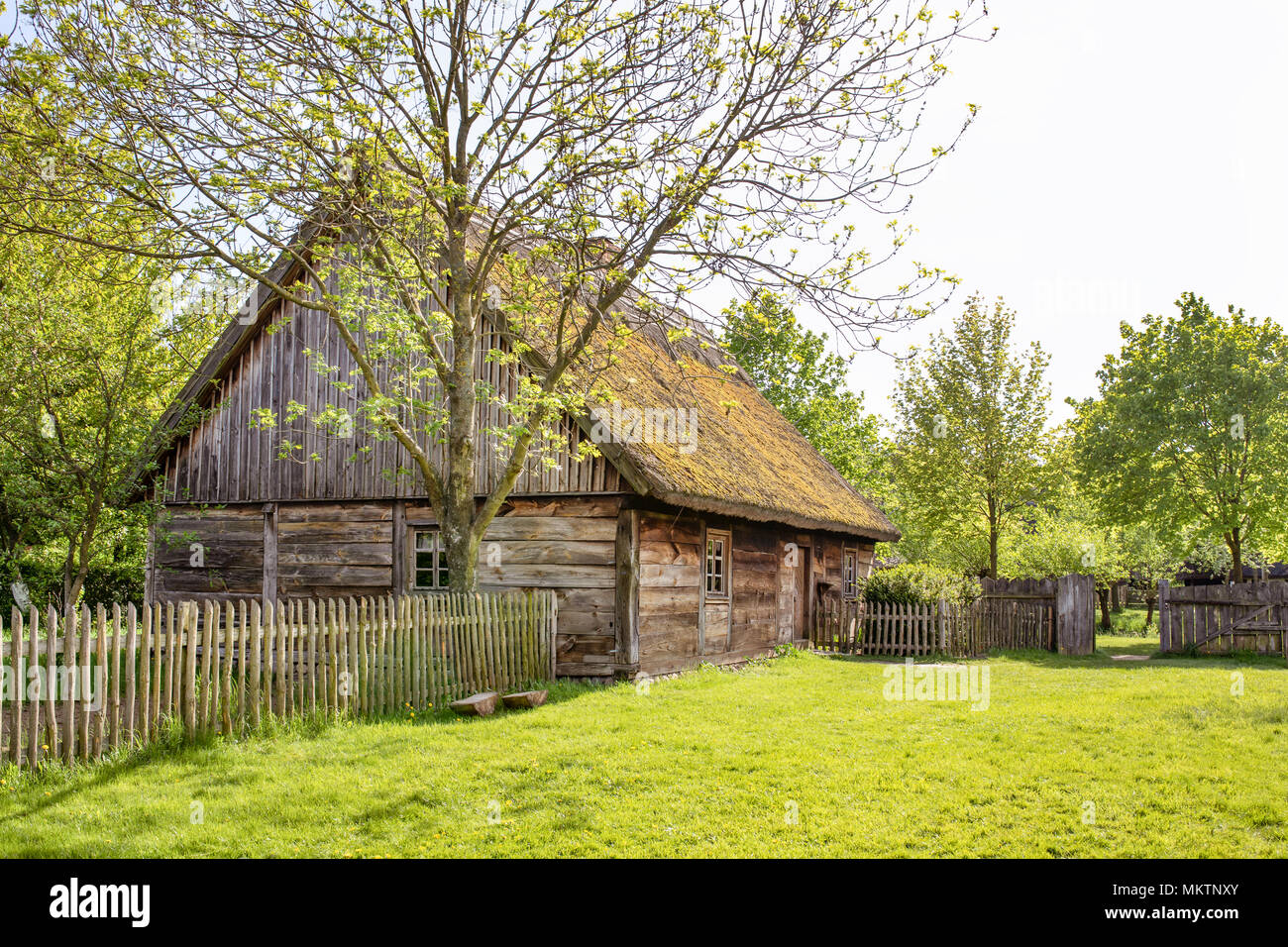 Traditional old polish countryside wooden thatched houses and farmyards ...