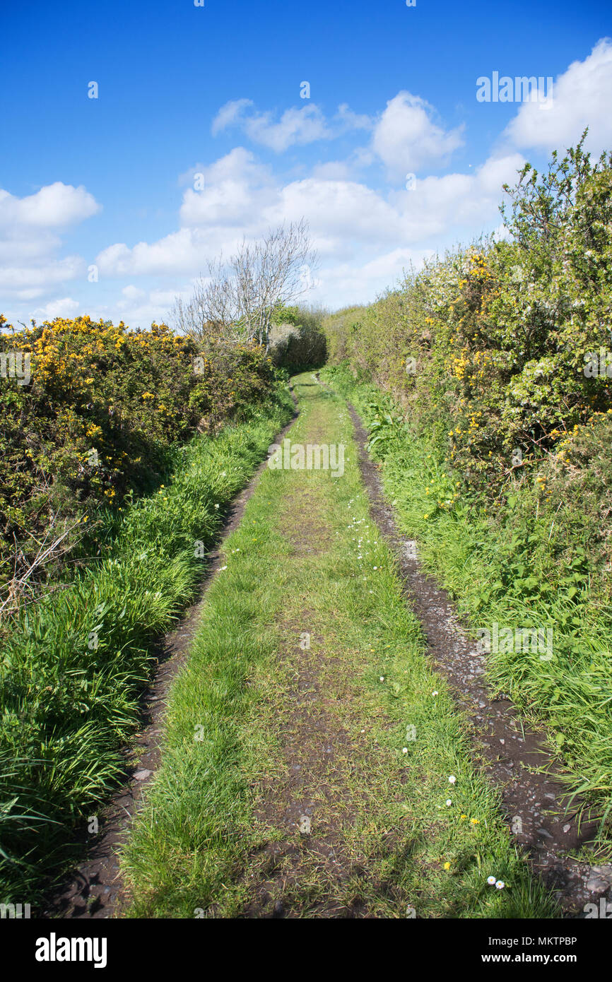 Country track in sunshine hi-res stock photography and images - Alamy