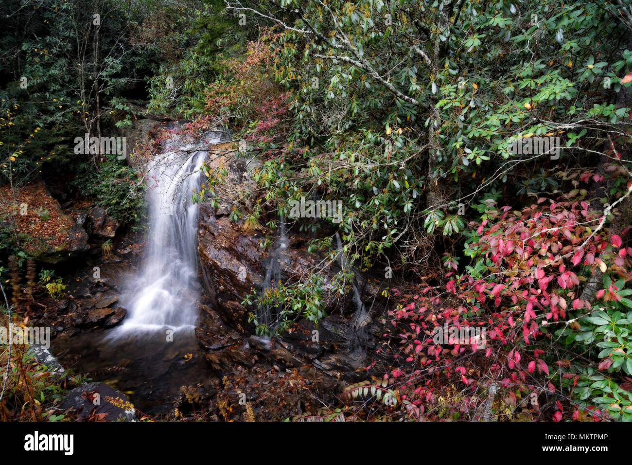 A pretty little roadside waterfall in North Carolina. Found along NC ...