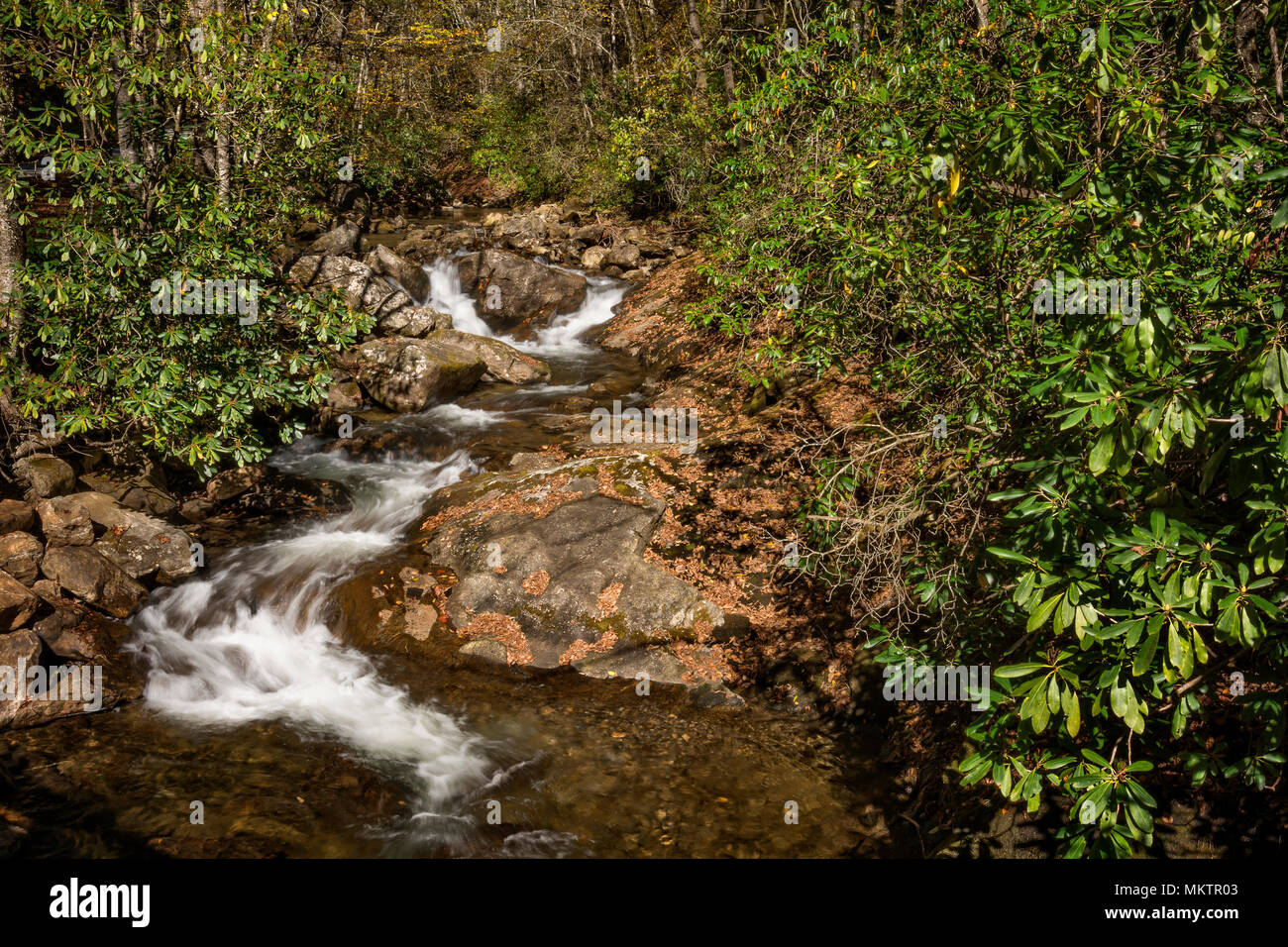 A pretty little cascade in western North Carolina. Seen here with ...