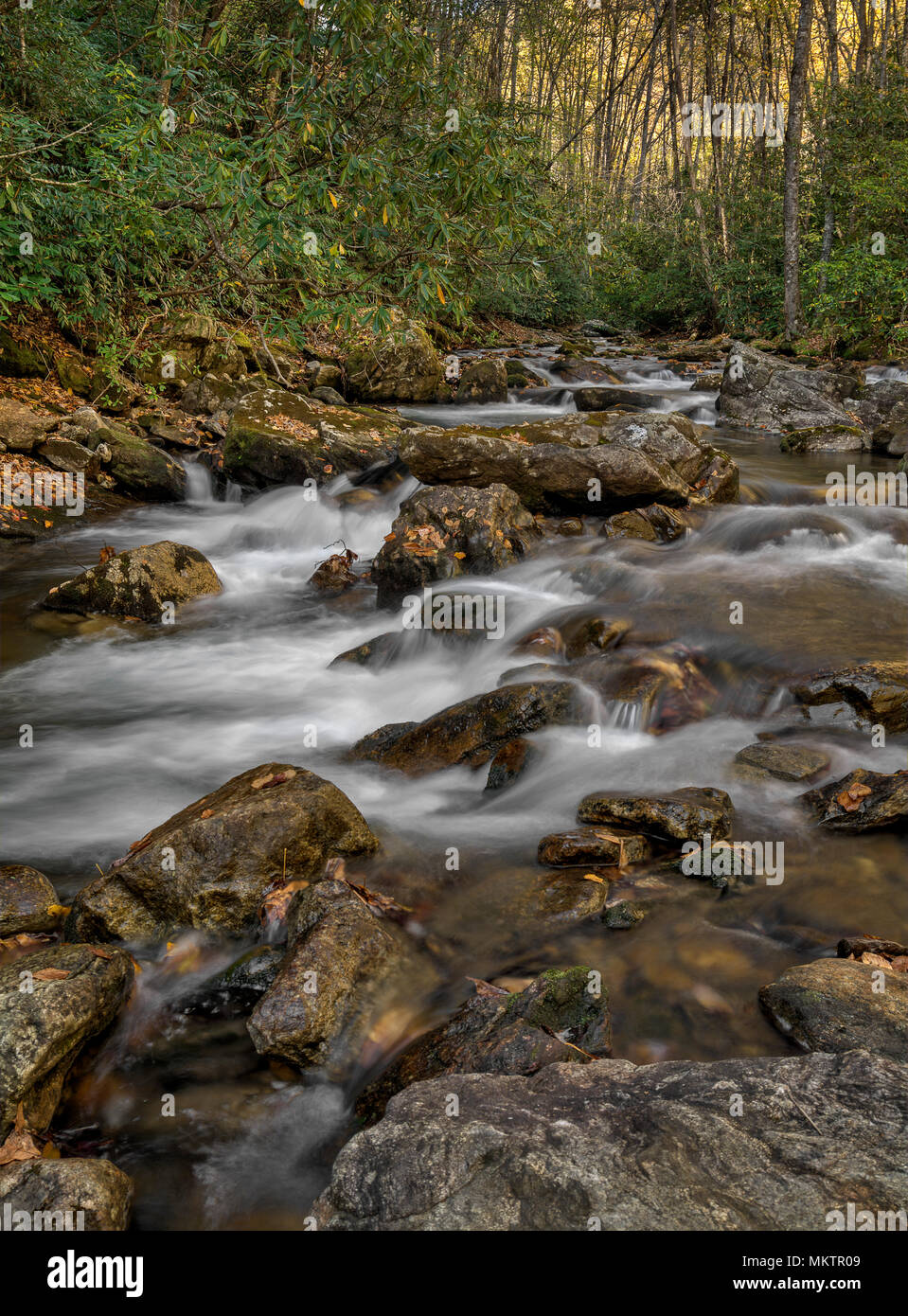 A pretty little cascade in western North Carolina. Seen here with ...