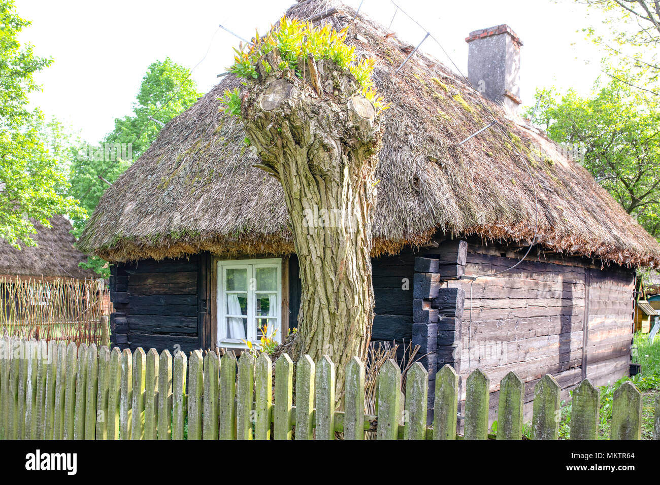Traditional old polish countryside wooden thatched houses and farmyards ...