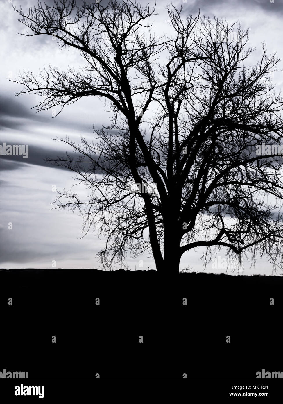 Tree hill overcast monochrome hi-res stock photography and images - Alamy