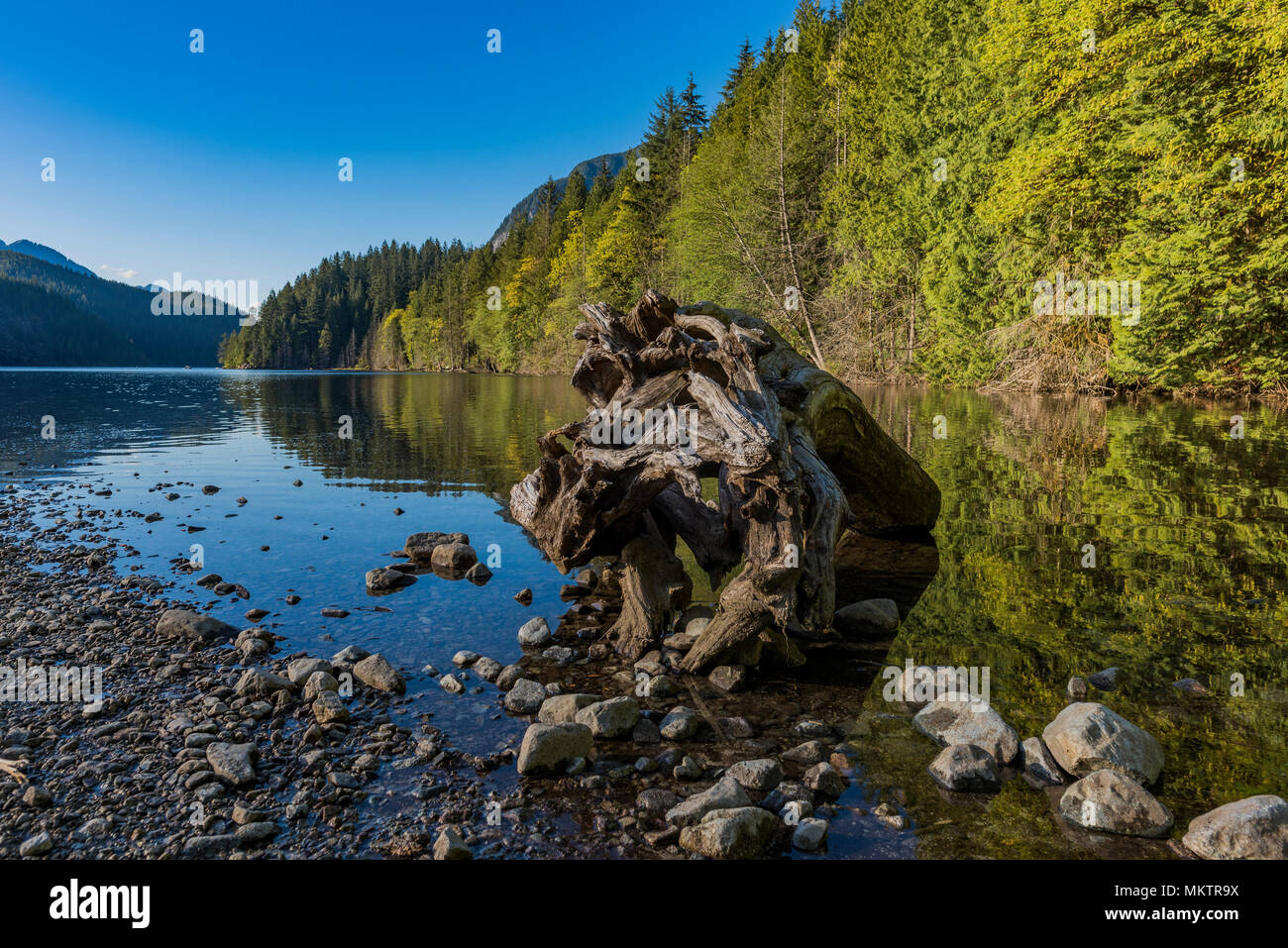 Canada recreation hi-res stock photography and images - Alamy