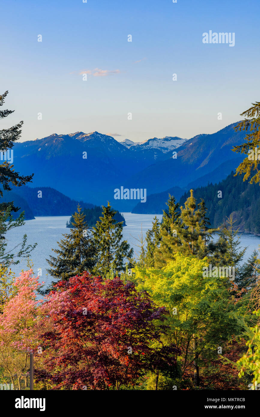 Indian arm hi-res stock photography and images - Alamy