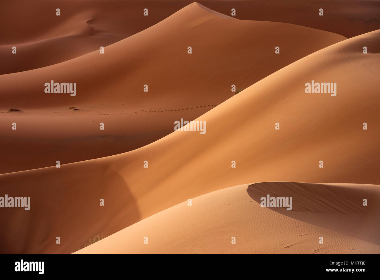 Seif Dunes In Sahara Desert