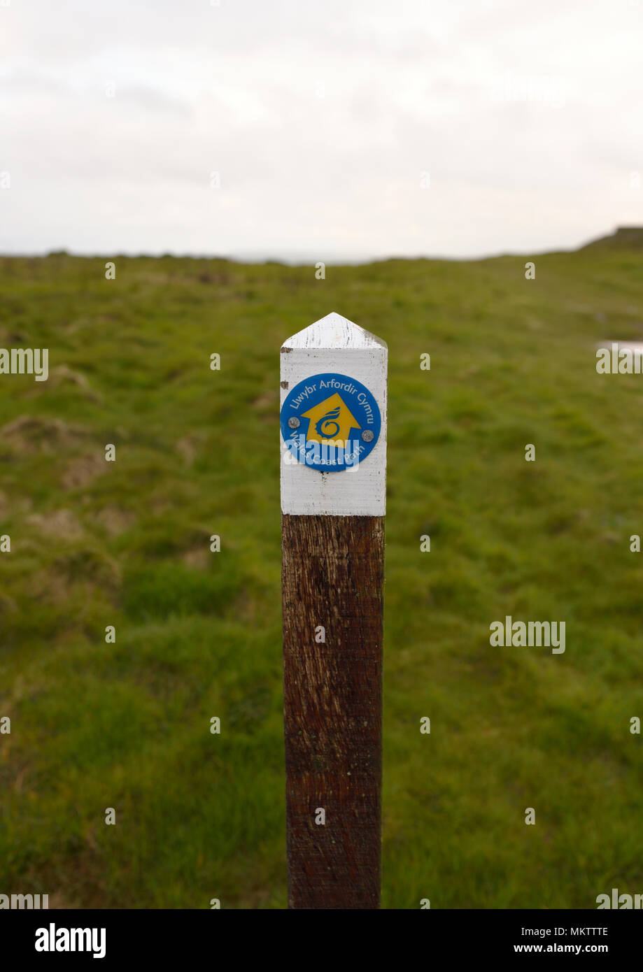 Signpost on wales coast path with yellow footpath direction arrow in ...