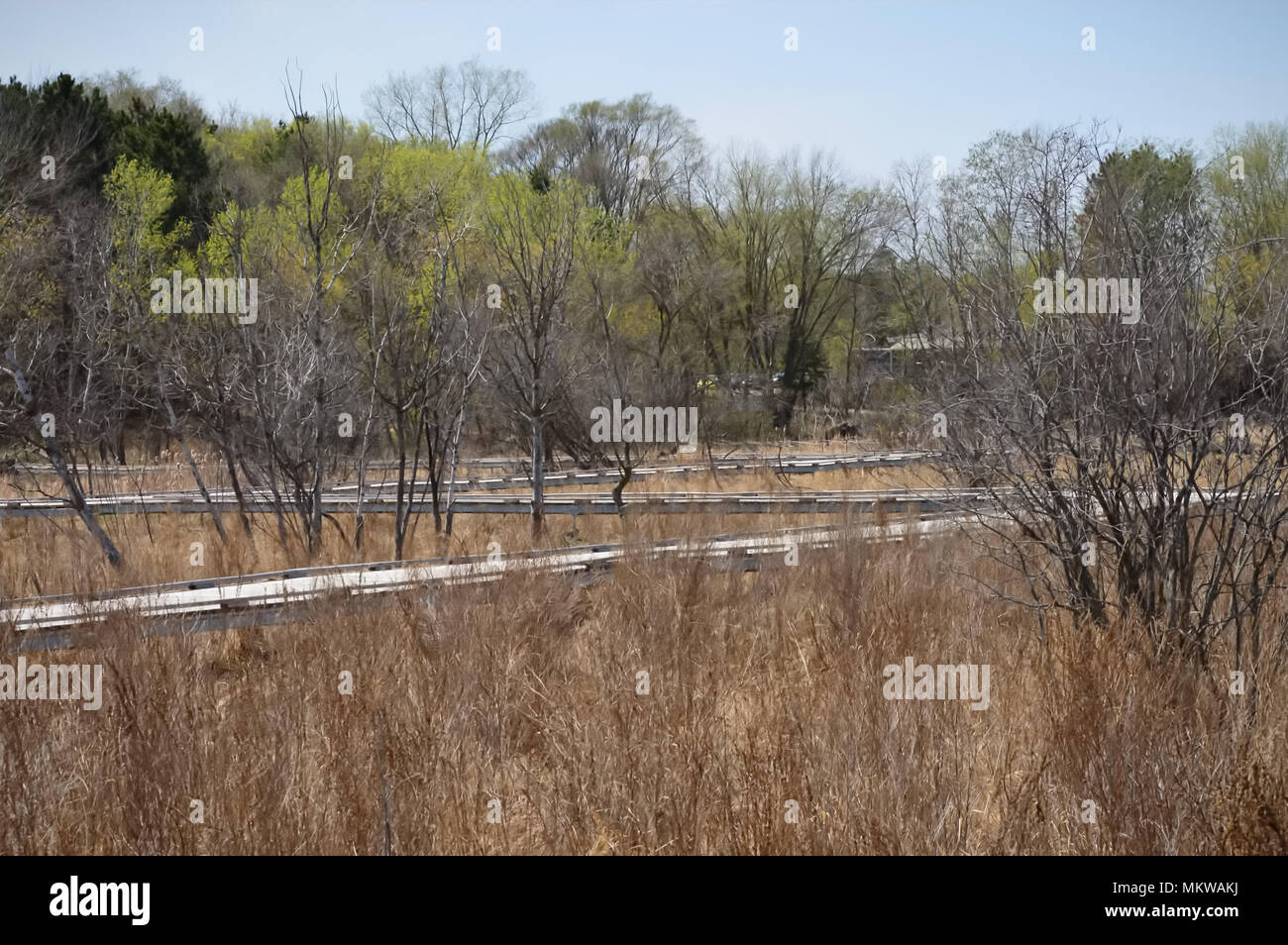 Wetland during spring hi-res stock photography and images - Alamy