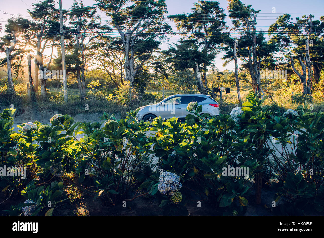 On The Way Home Stock Photo - Alamy