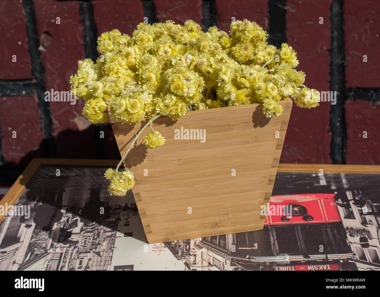 Beautiful colorful natural flowers in dry form Stock Photo - Alamy
