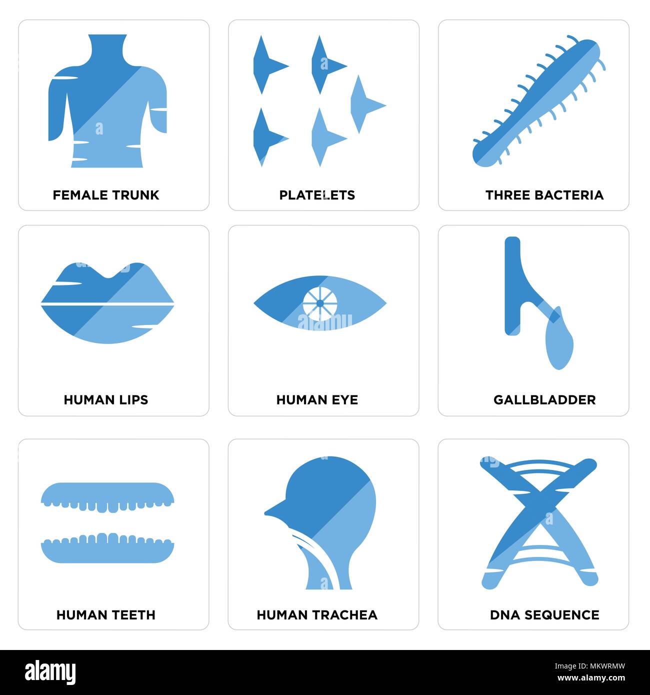 Set Of 9 simple editable icons such as DNA Sequence, Human Trachea ...