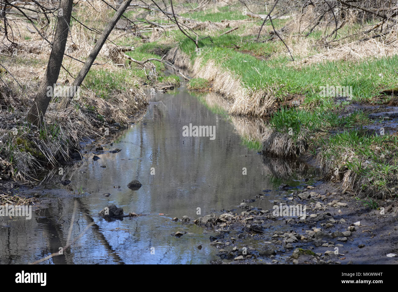 Very small creek hi-res stock photography and images - Alamy