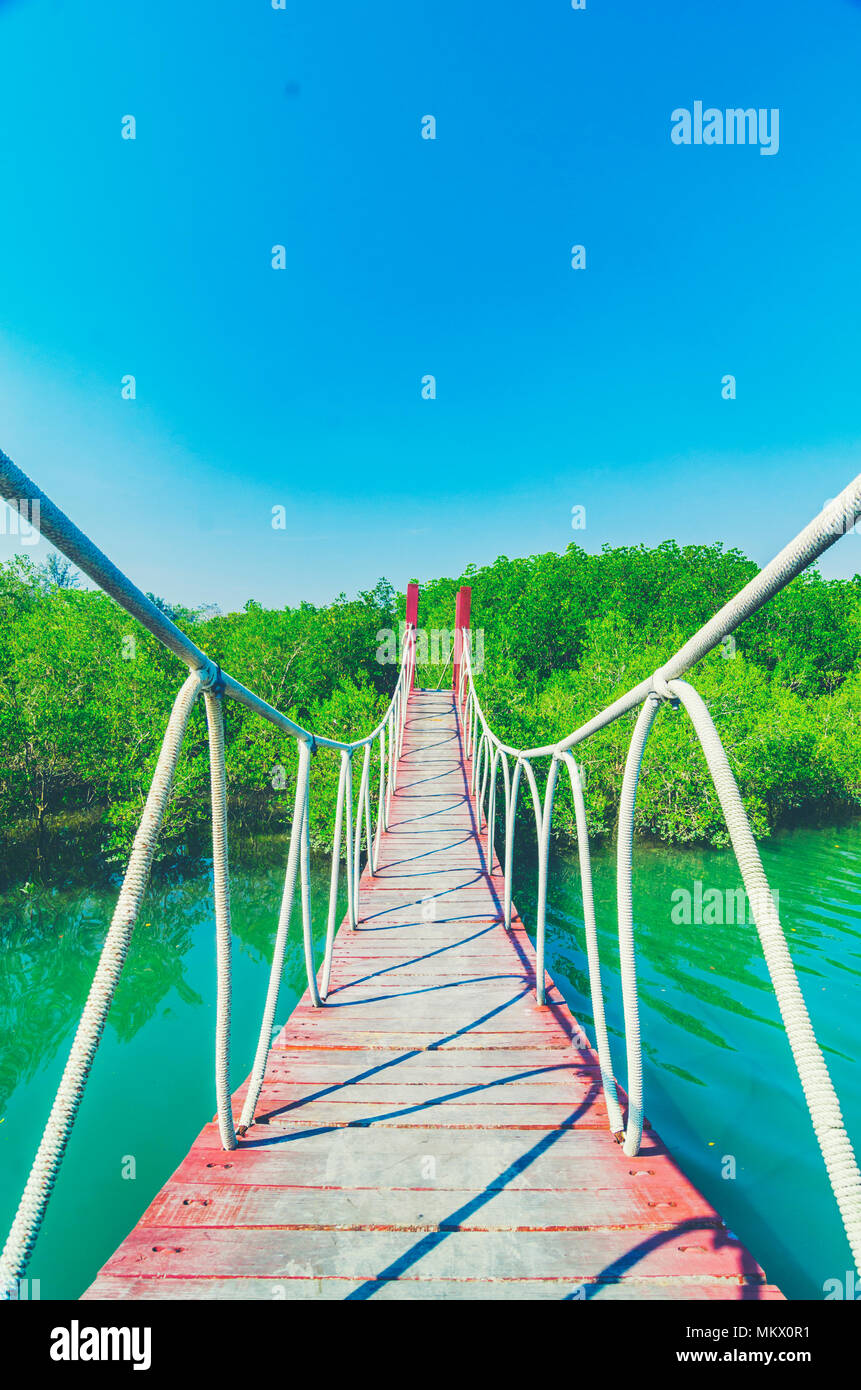 Wooden walking bridge in mangrove forest Stock Photo - Alamy
