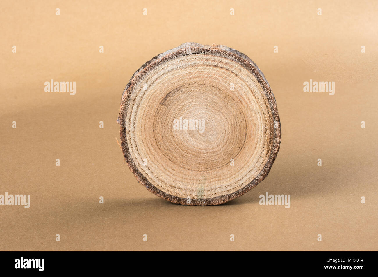 small piece of cut wood log used for wood texture background Stock ...