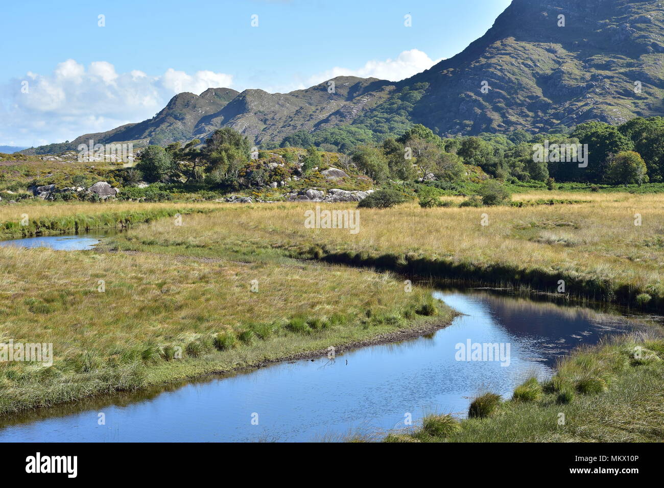 Shallow creek slowly flowing through valley with Reeks mountain range ...