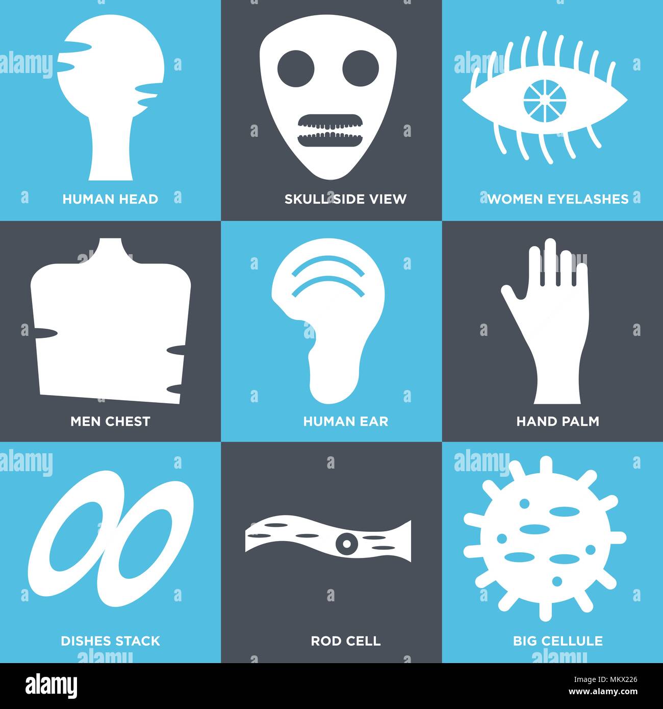 Set Of 9 simple editable icons such as Big Cellule, Rod Cell, Dishes ...