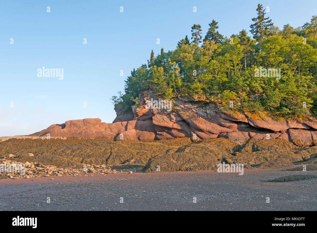 Bay of fundy national park hi-res stock photography and images - Alamy