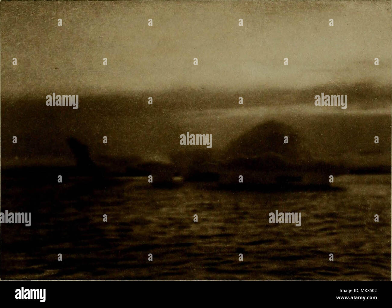 "The log of the "Laura" in polar seas; a hunting cruise from Tromsö ...