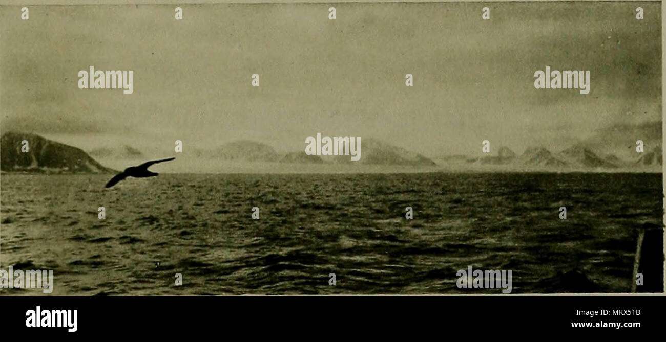 "The log of the "Laura" in polar seas; a hunting cruise from Tromsö ...
