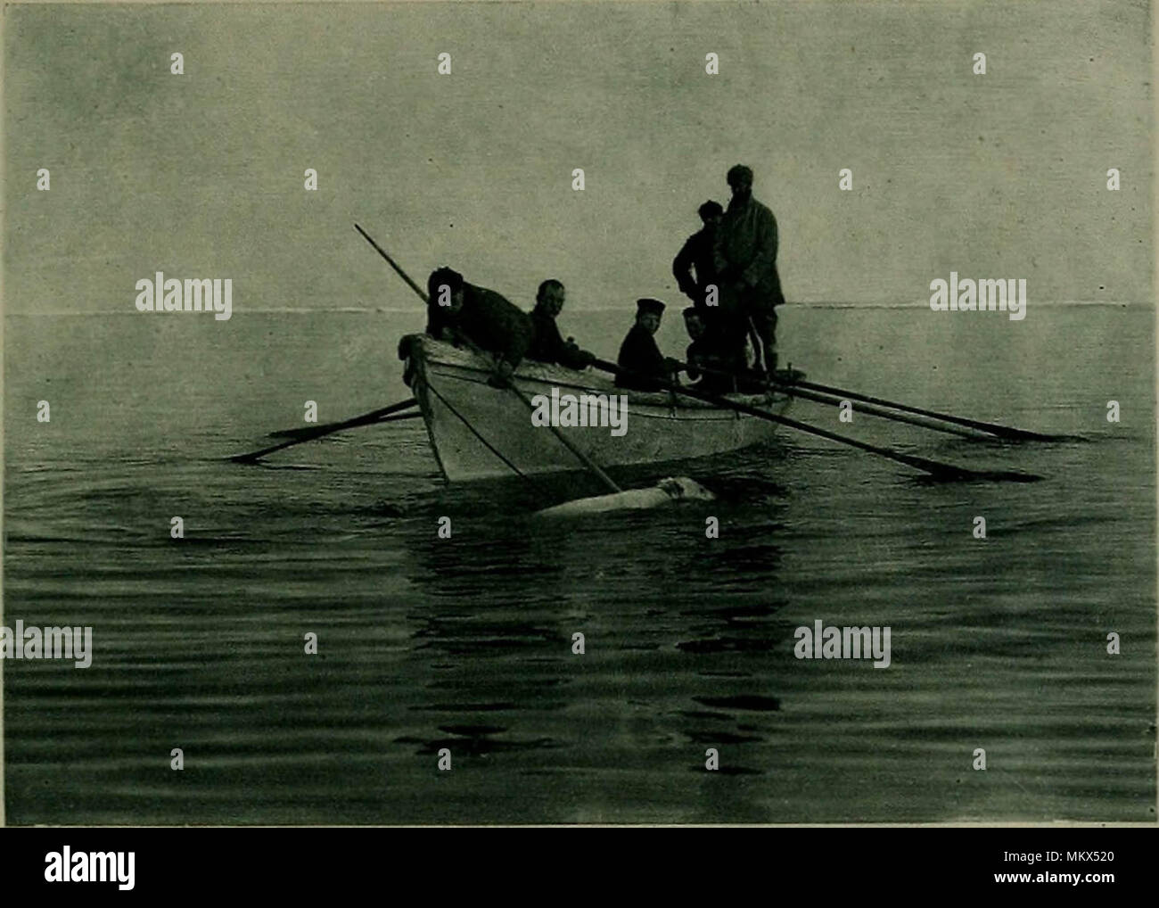 "The log of the "Laura" in polar seas; a hunting cruise from Tromsö ...