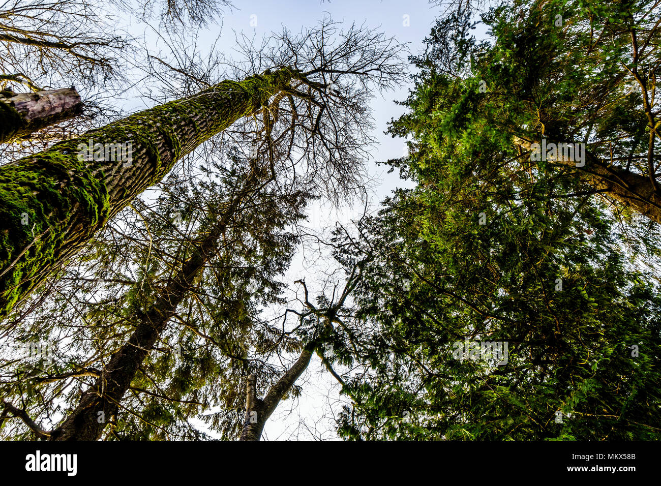 Bonson community hi-res stock photography and images - Alamy