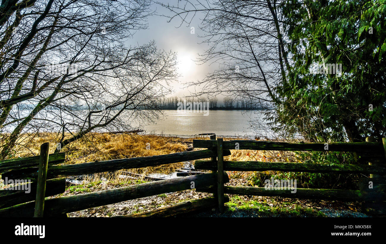 Beautiful scenery of the Fraser River along the hiking trail in Maple ...