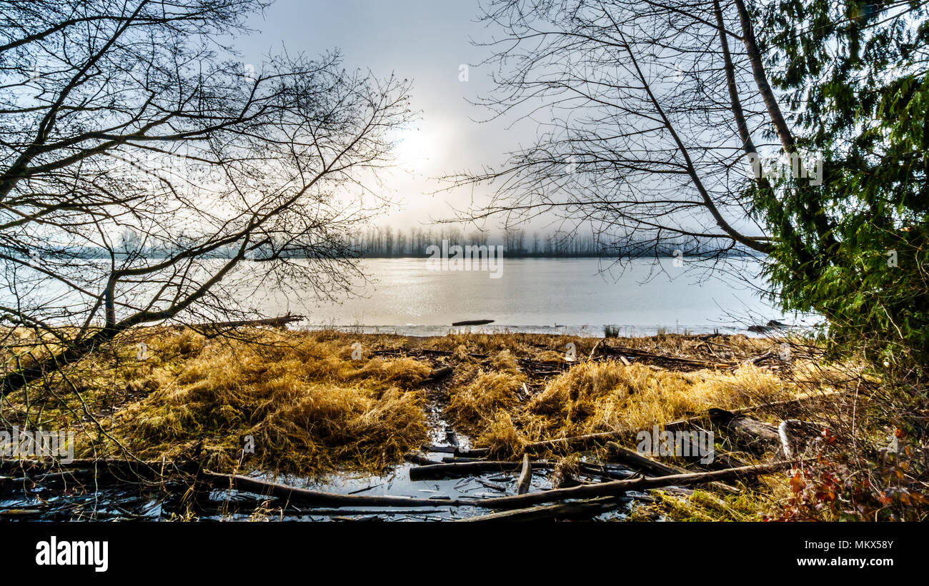 Beautiful scenery of the Fraser River along the hiking trail in Maple ...