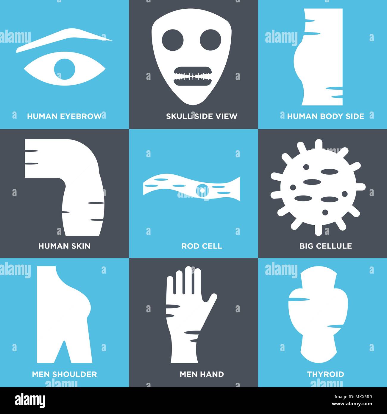 Cellulitis hand Stock Vector Images - Alamy