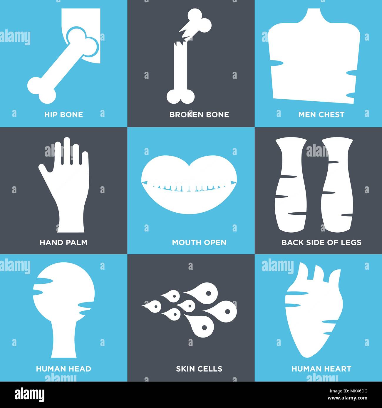 Skin cells icon vector vectors hi-res stock photography and images - Alamy