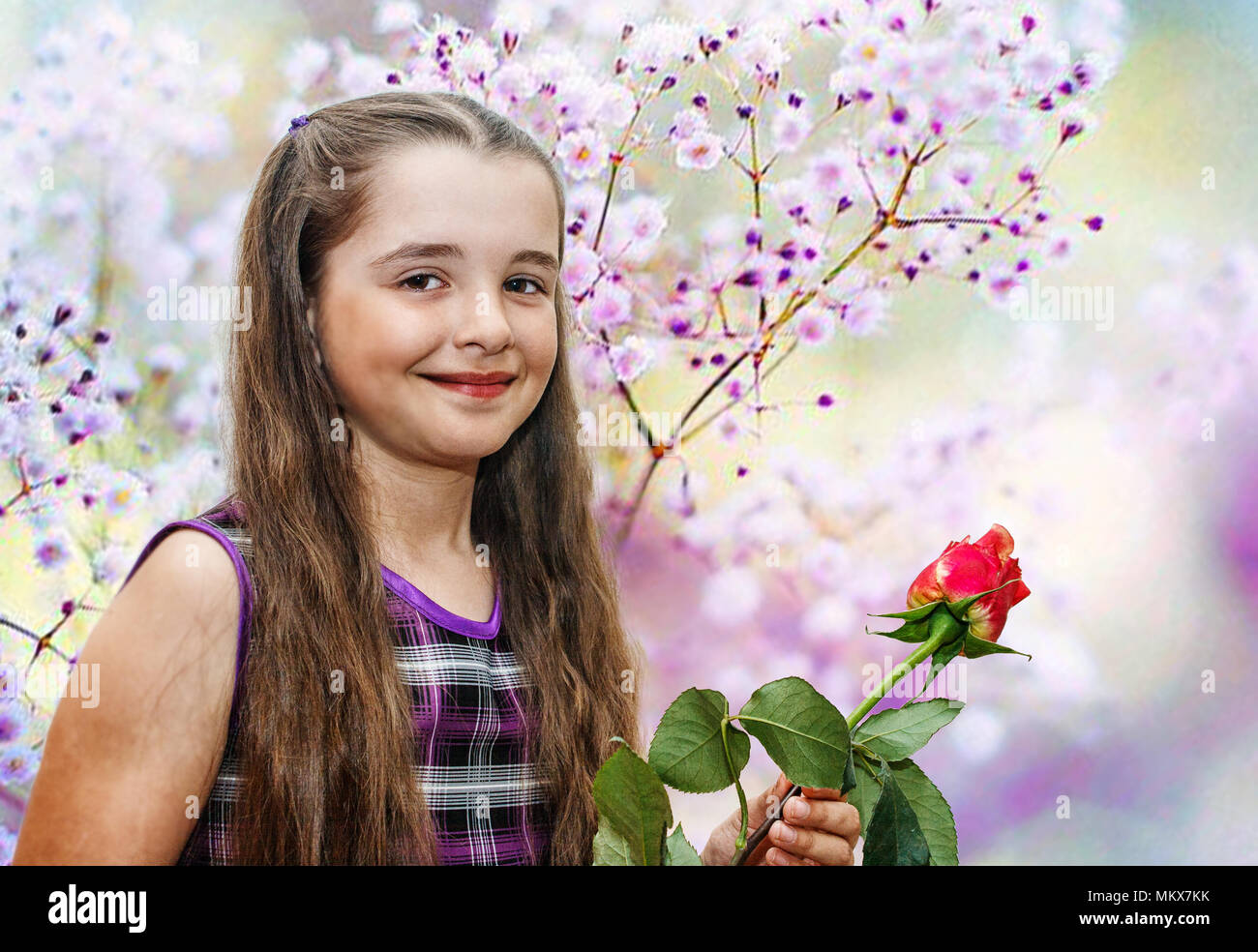 Adorable child holding rose hi-res stock photography and images - Alamy