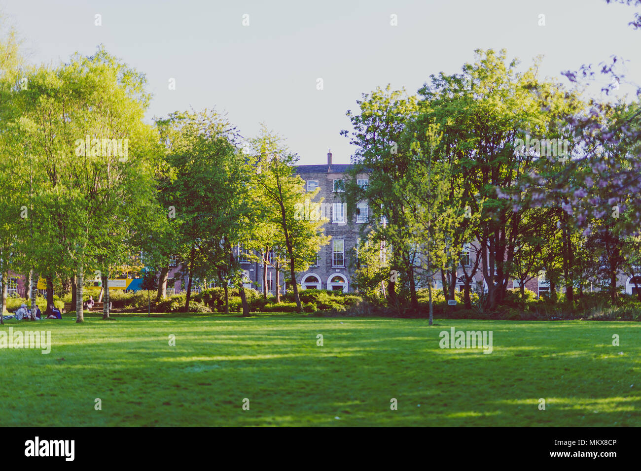DUBLIN, IRELAND - May 6th, 2018: Detail of Merrion Square's park in ...