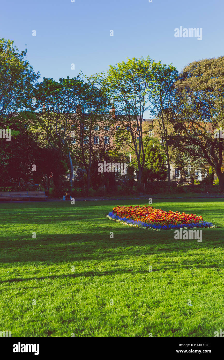 DUBLIN, IRELAND - May 6th, 2018: Detail of Merrion Square's park in ...
