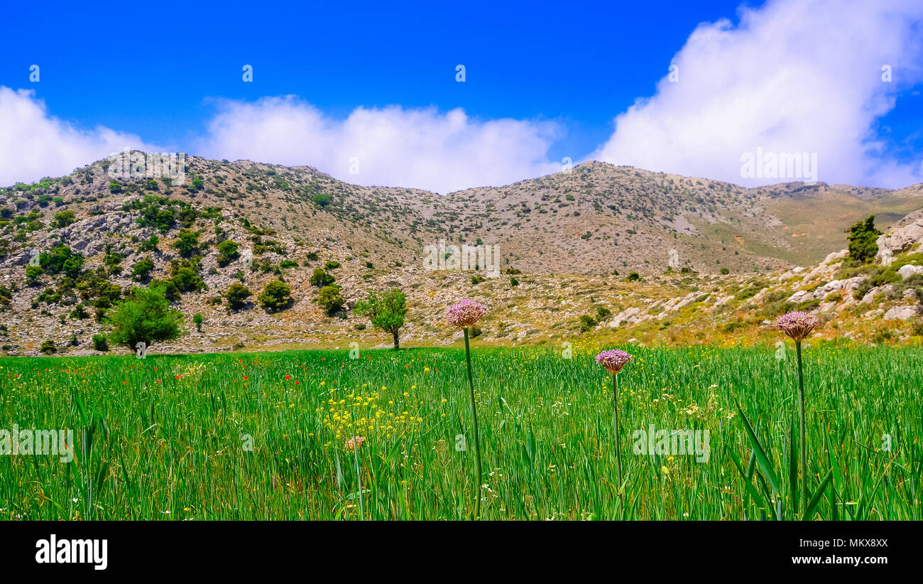 White mountains of crete clouds hi-res stock photography and images - Alamy