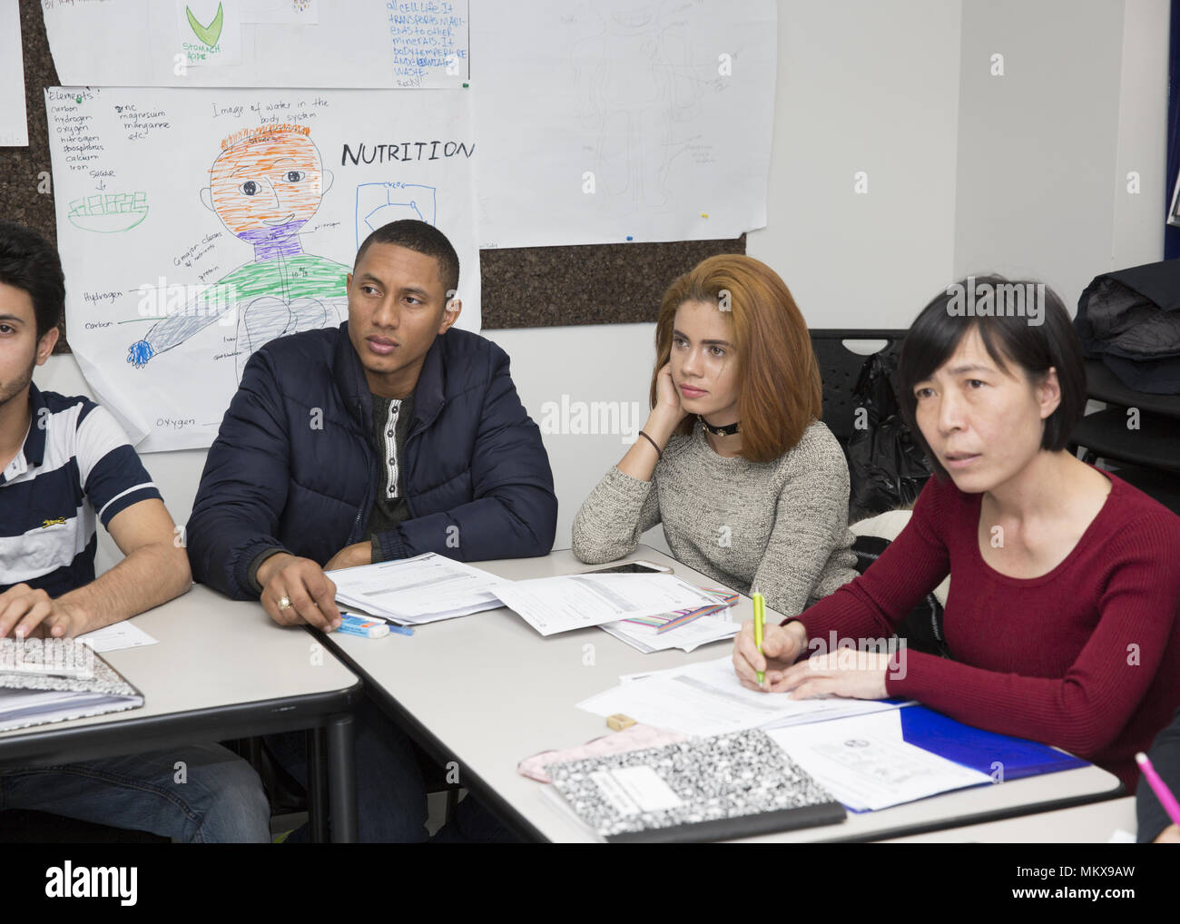 Adults learning a second language hi-res stock photography and images ...