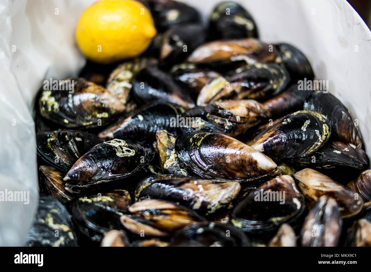 Turkish Street Food Stuffed Mussels / Midye Dolma. traditional food ...