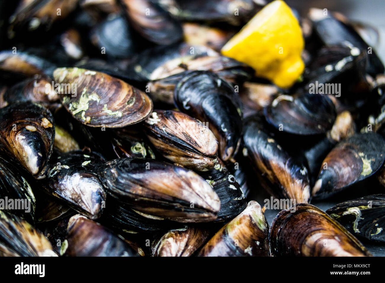 Turkish Street Food Stuffed Mussels / Midye Dolma. traditional food ...