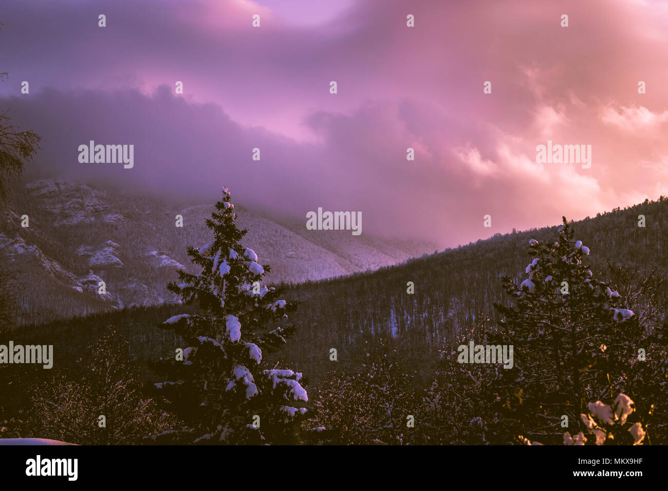 blue sky winter Stock Photo - Alamy