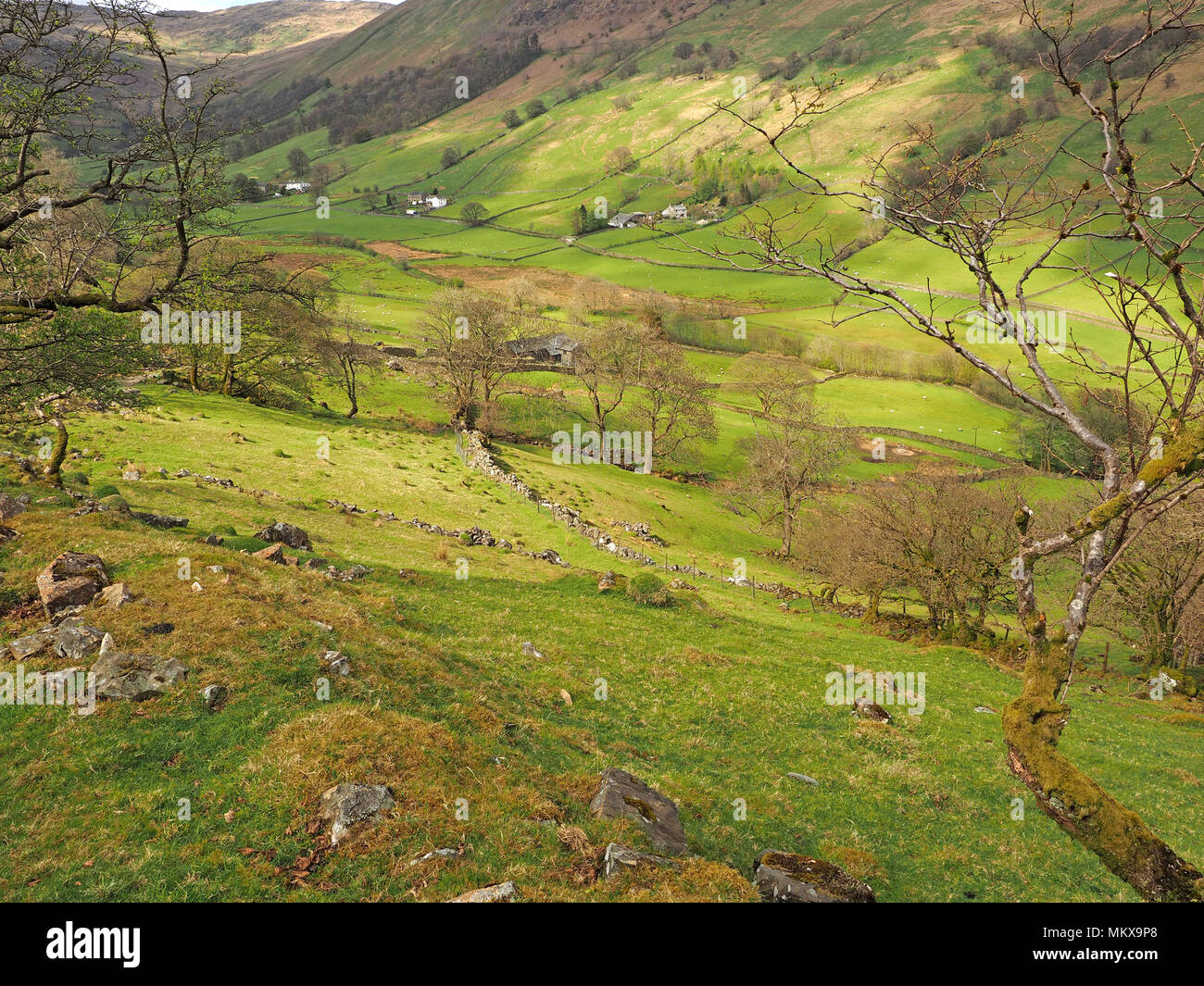 View from Spring Wood above Wad's Howe Bridge looking North up Long ...