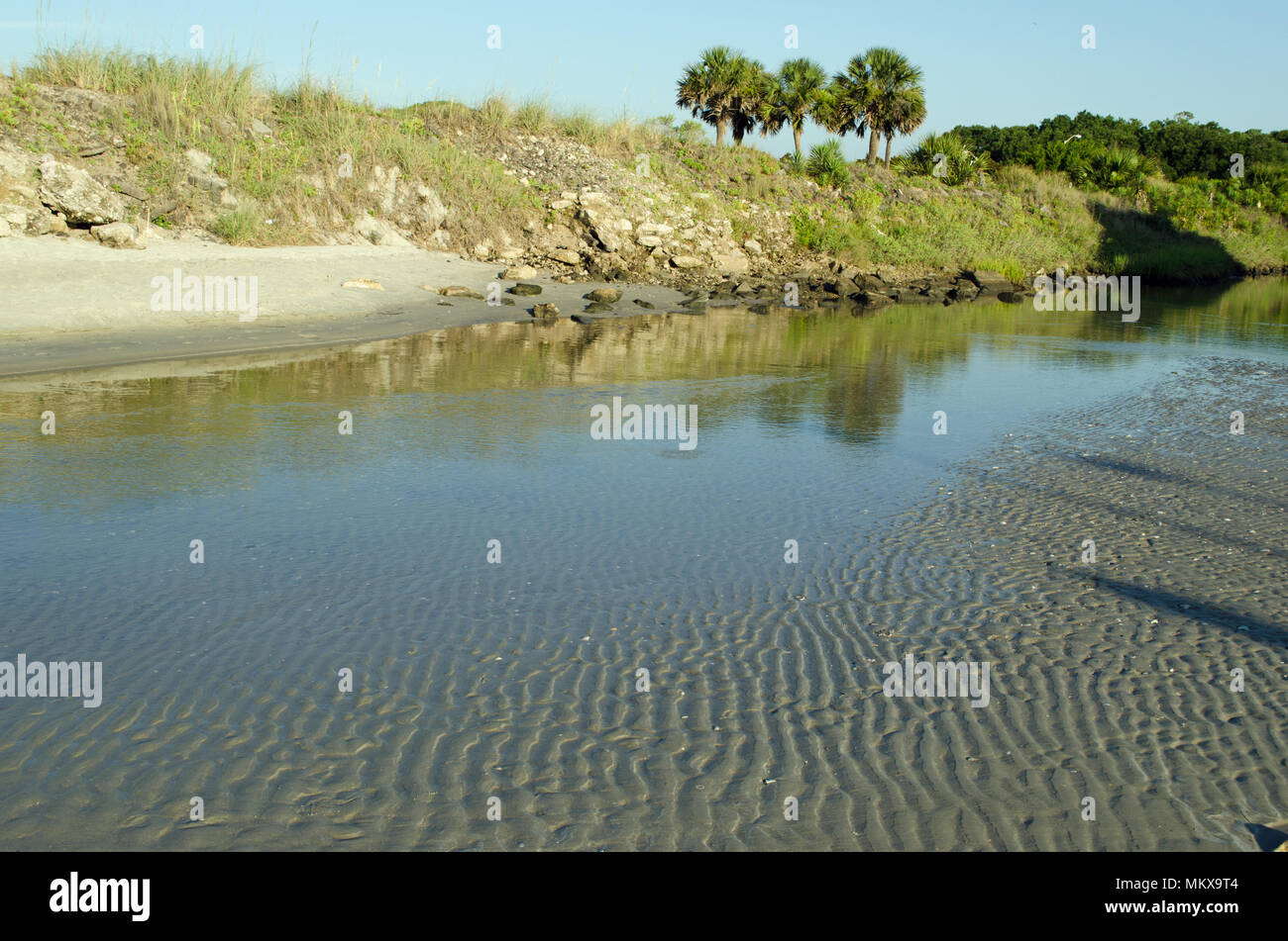spring at beach Stock Photo - Alamy