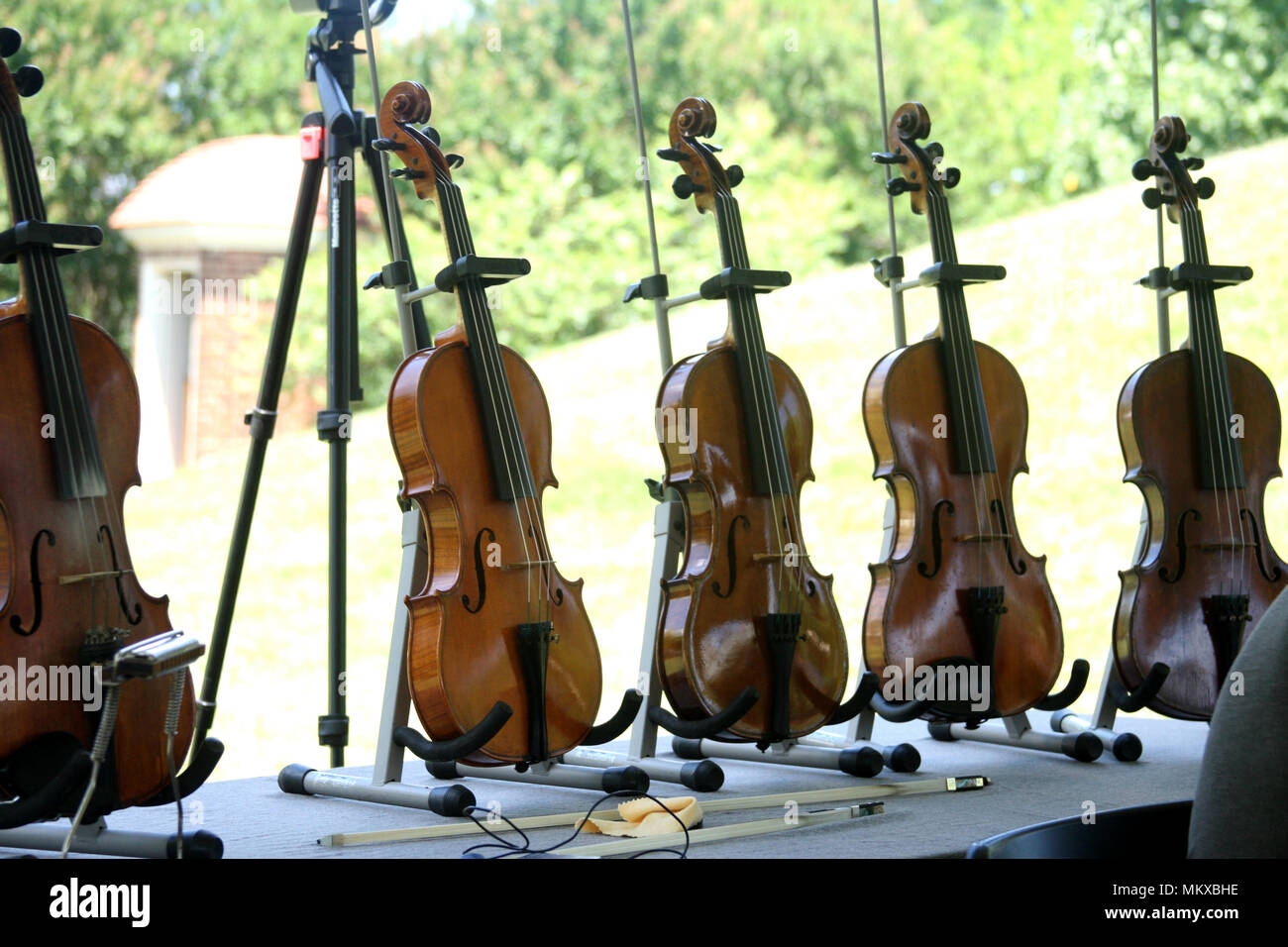 Violins on stands before performance Stock Photo - Alamy