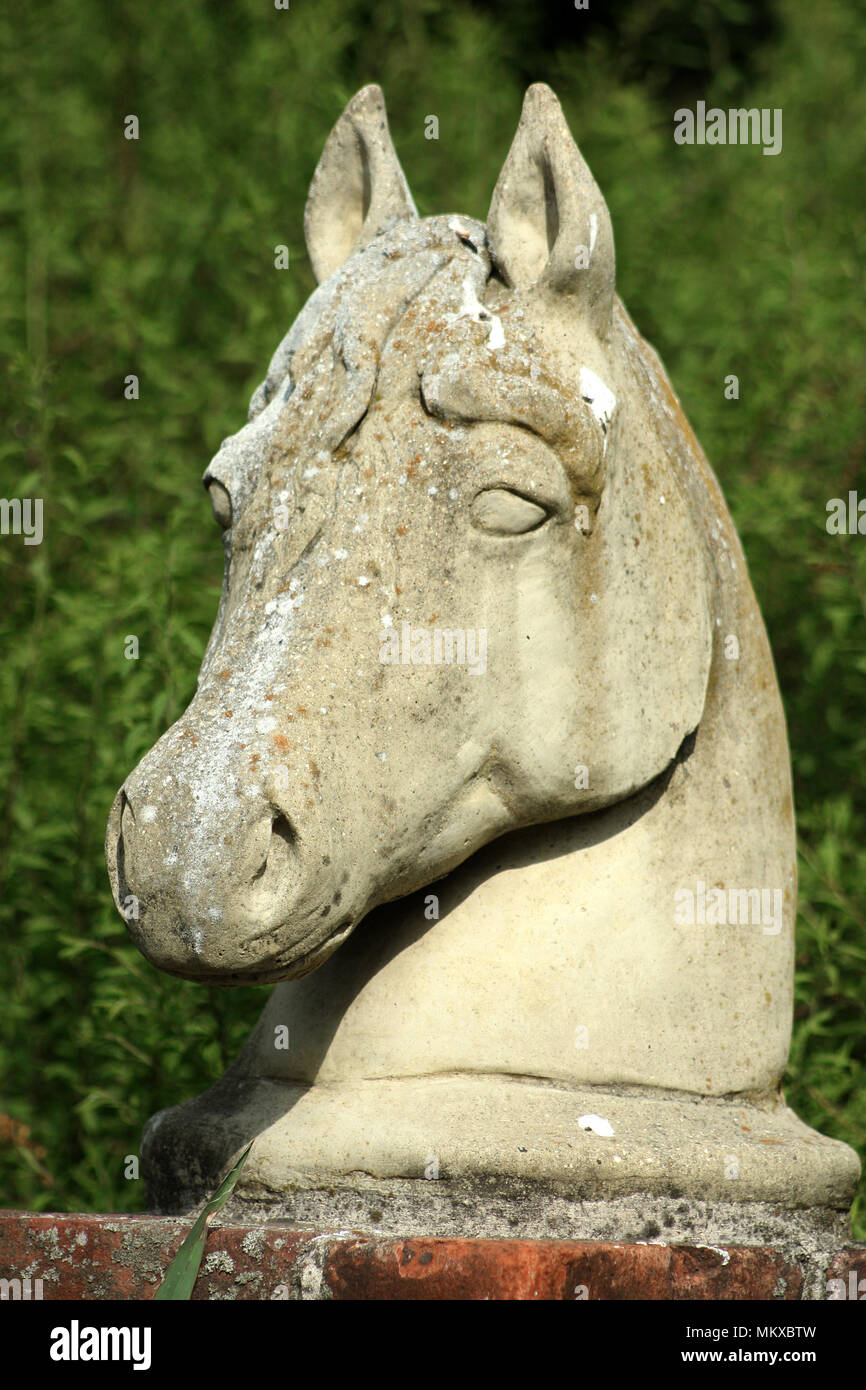 Horse Head Sculpture Decoration at Margaret Bower blog