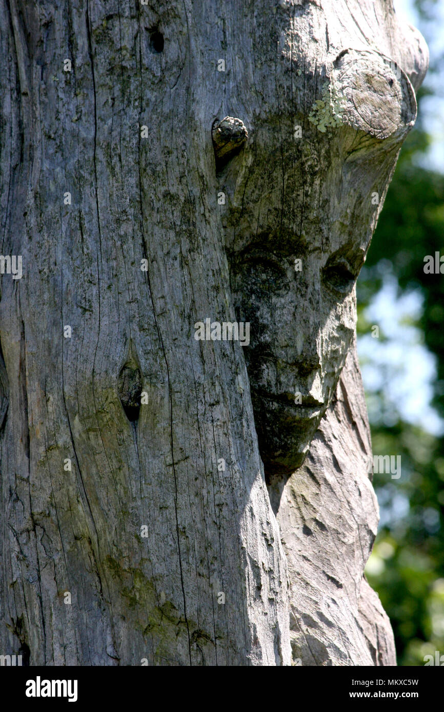 Portrait of a girl, sculpted in a tree Stock Photo - Alamy