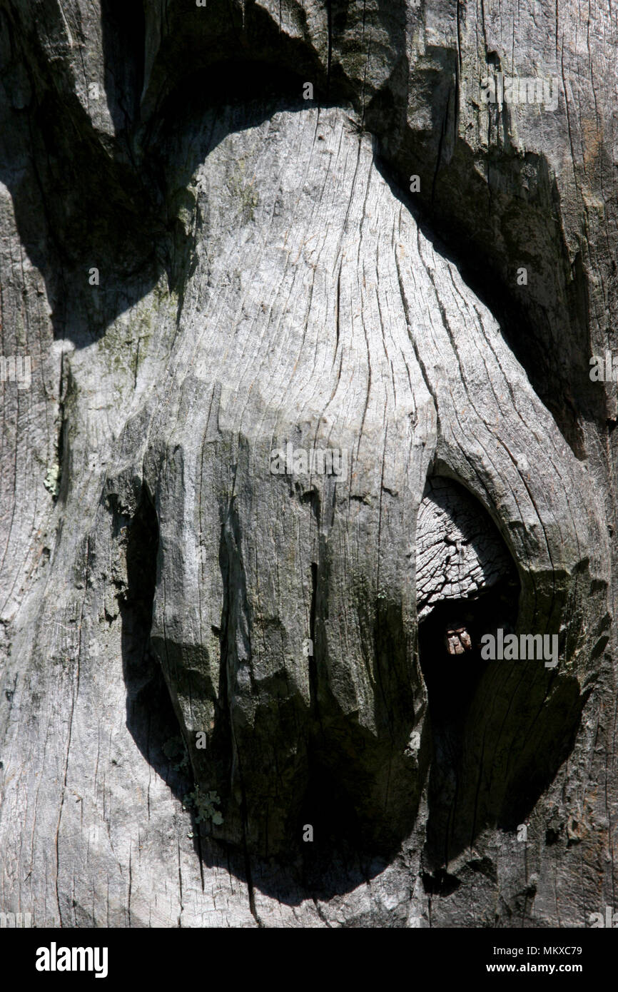 Wood carvings tree hi-res stock photography and images - Alamy