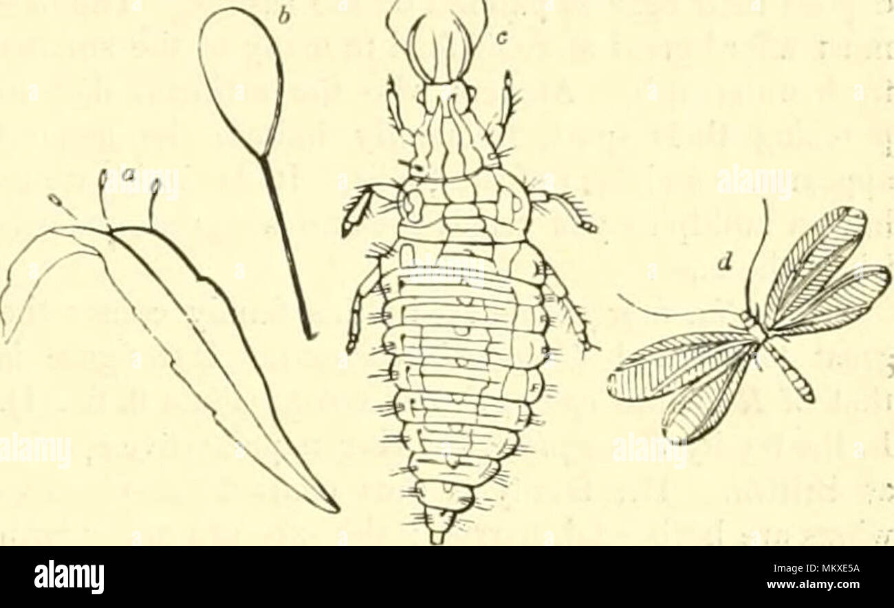 The museum of natural history, with introductory essay on the natural ...