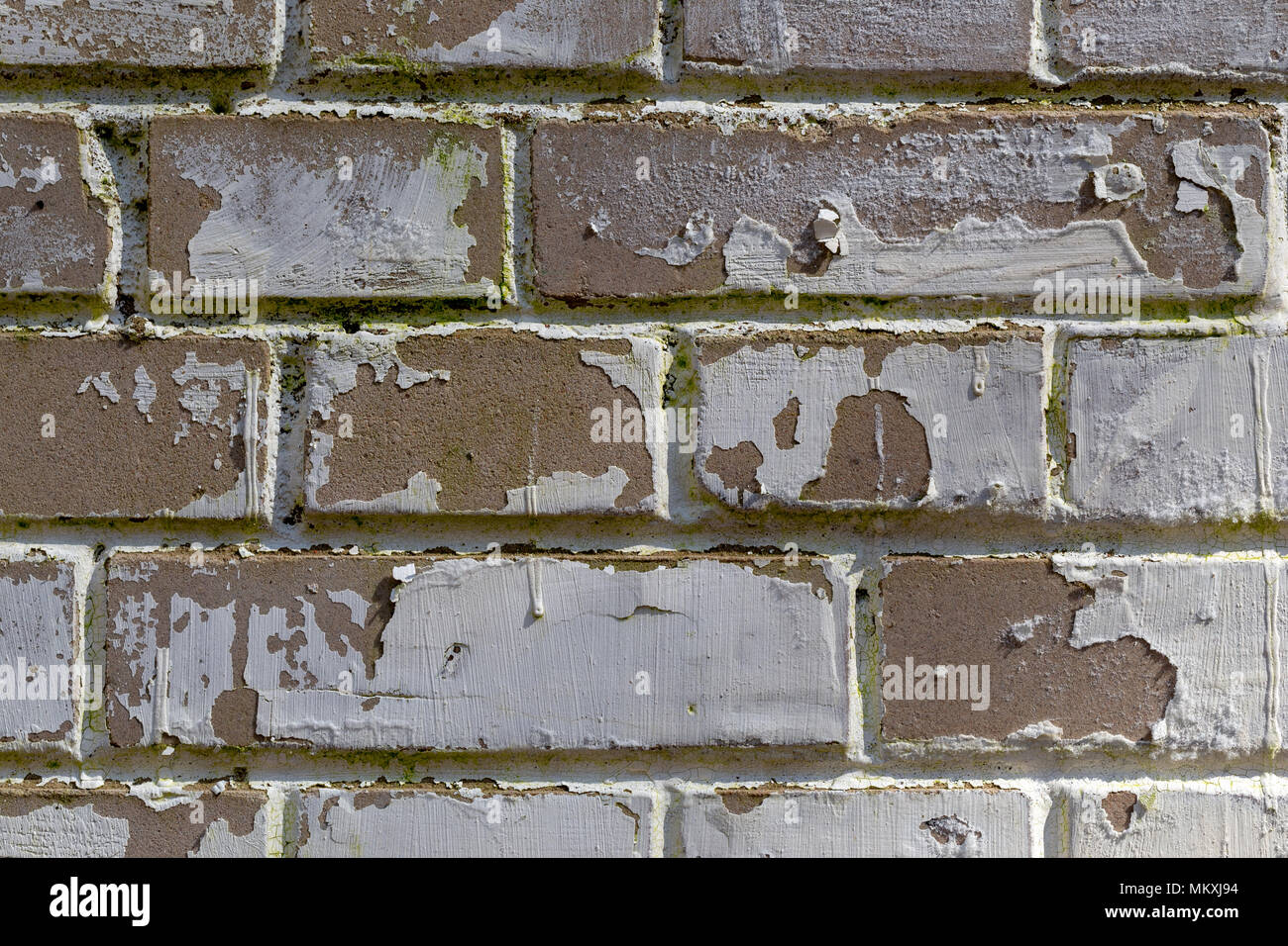 Background texture of a old white brick wall Stock Photo - Alamy